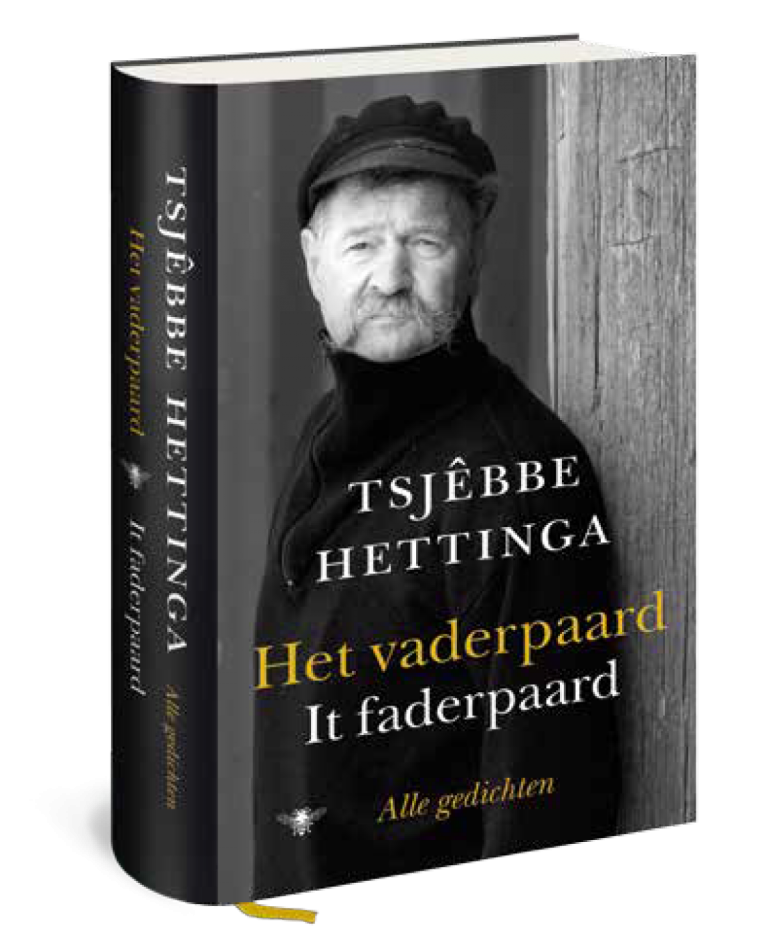 Tsjêbbe Hettinga